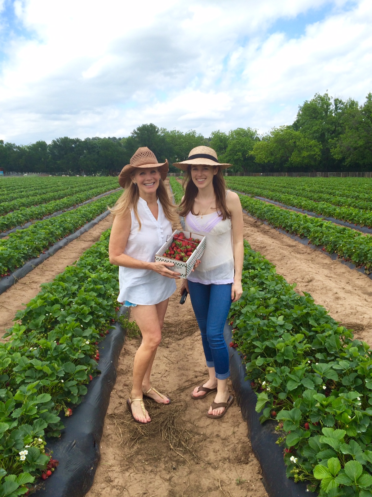 Let's Grow Our Own Organic Food by Nancy Addison