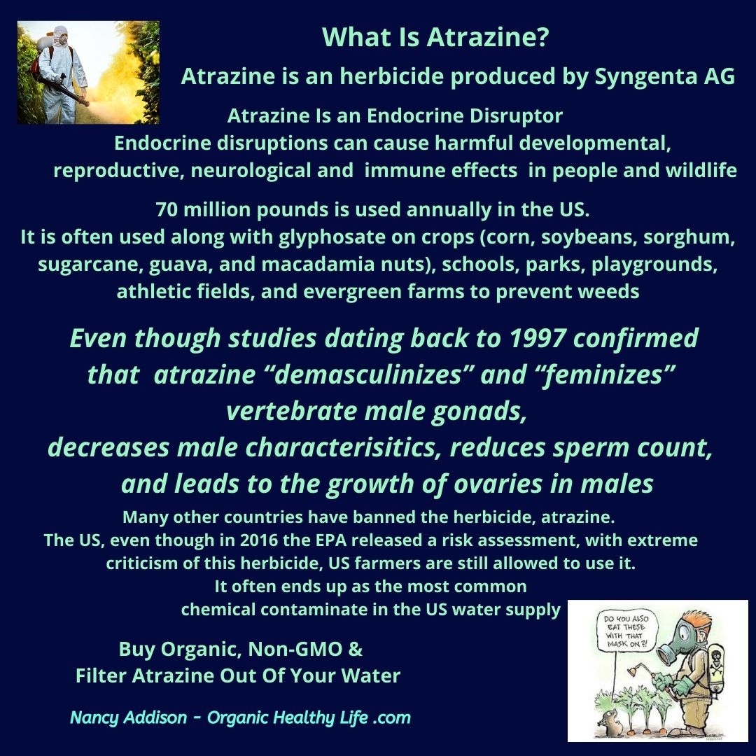 Organic Healthy Lifestyle | Nancy Addison – Speak & Author